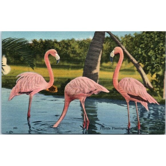 American Vintage | Party Supplies | Postcard Florida Pink Flamingos ...